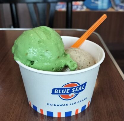 那覇旅行に必須！OKICAでお得に公共交通機関を活用！